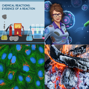 For Class: Chemical Reactions: Evidence of a Reaction MS-PS1.B-1b ...